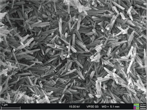 Halloysite Mineral Filler - Halloysite Clay Nanotubes